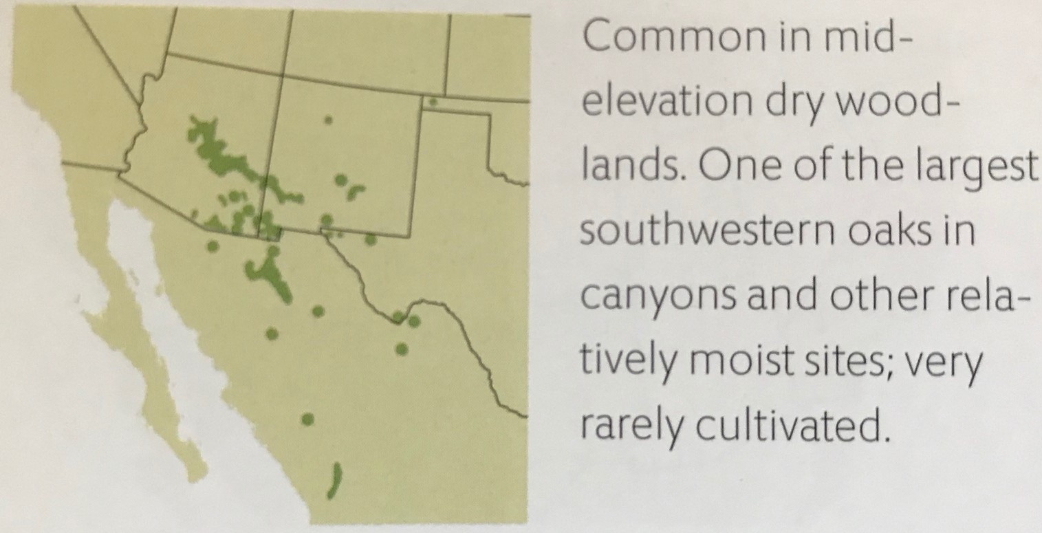 Helping forests migrate: Planners race to plant trees adapted to the ...