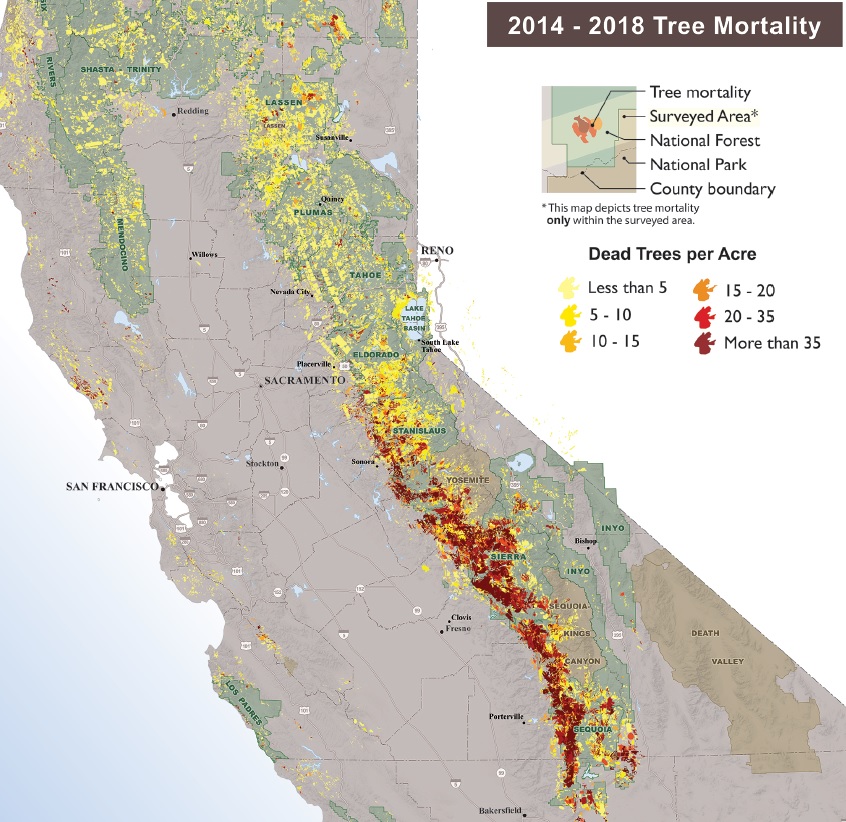 Helping forests migrate: Planners race to plant trees adapted to the ...