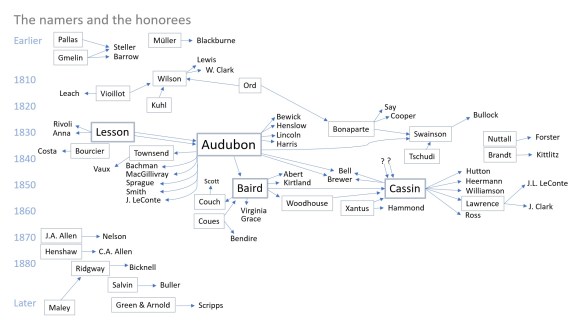 Honorific bird names facts and figures | The Cottonwood Post