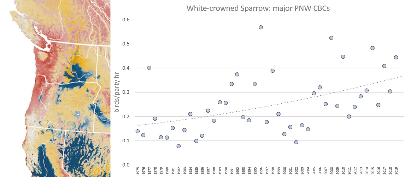 Heading south for winter, more birds are choosing the Pacific Northwest ...