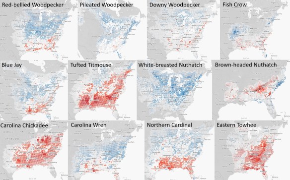 eBird Trends maps reveal dramatic northward range shifts in Eastern ...